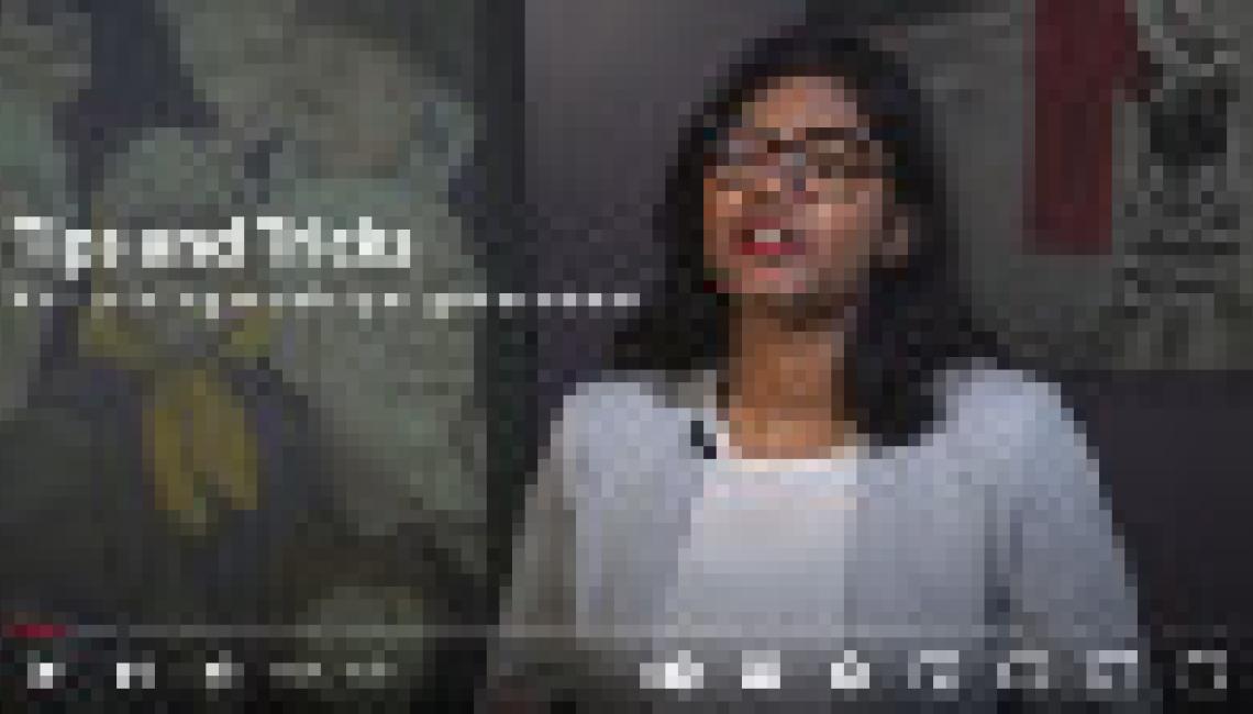 Home | Municipal Elections